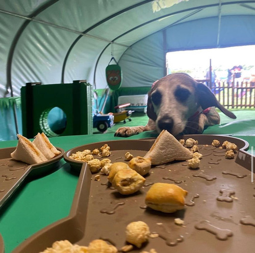 Mini Dog Buffet | My Site