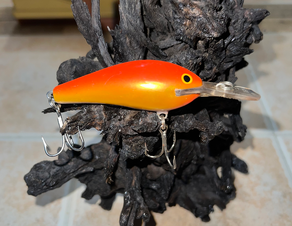 Rapala Fat Rap FR-7 w/ Salmon Special Box | Ed The Diver