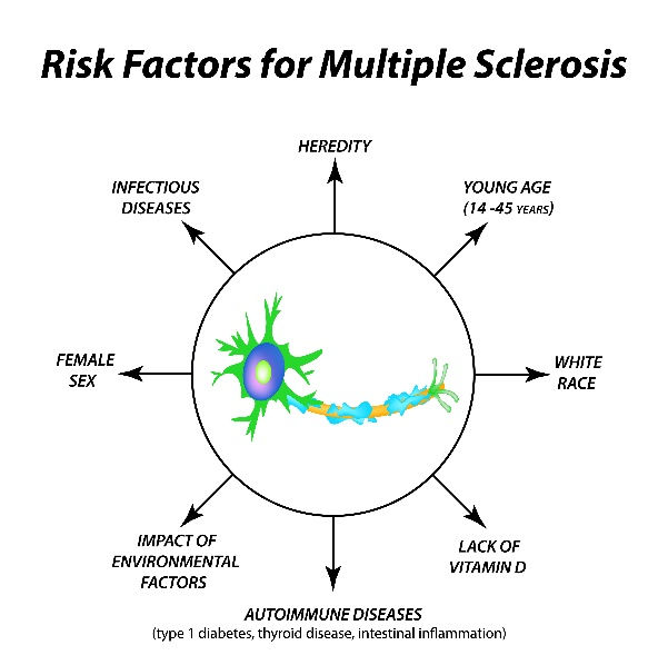 Pathophysiology of Multiple Sclerosis