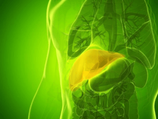 Transaminitis, Elevated Liver Enzymes and The Fatty Liver
