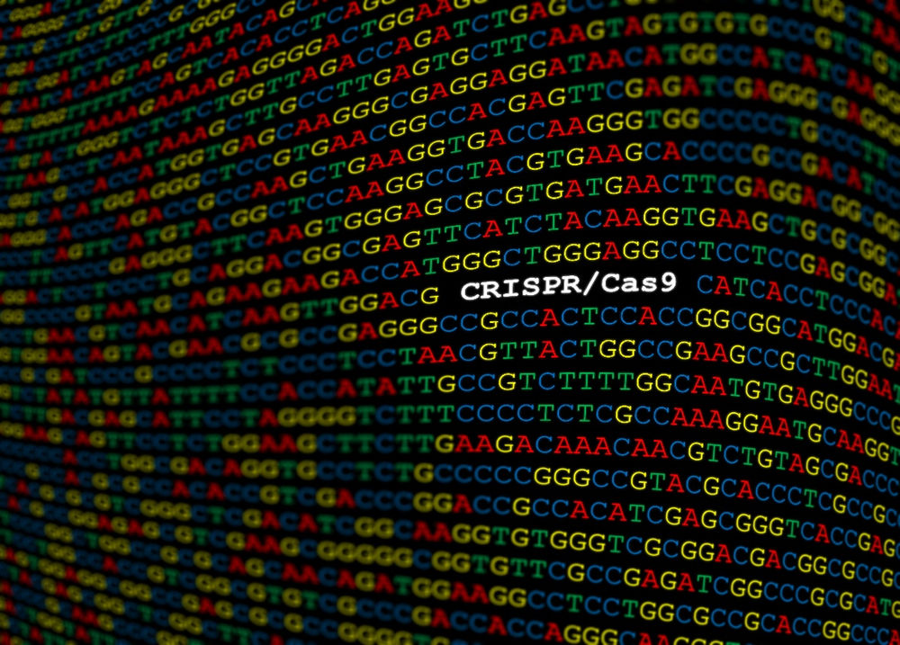 CRISPR What Is It, and How Can It Be Used In Medicine?