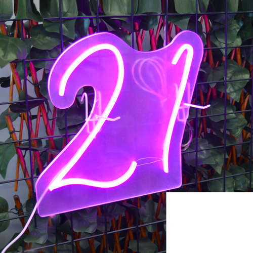 '21'Neon sign Birthday Neon light | Lightning Planet