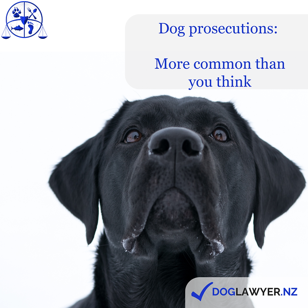Dog prosecutions: more common than you think