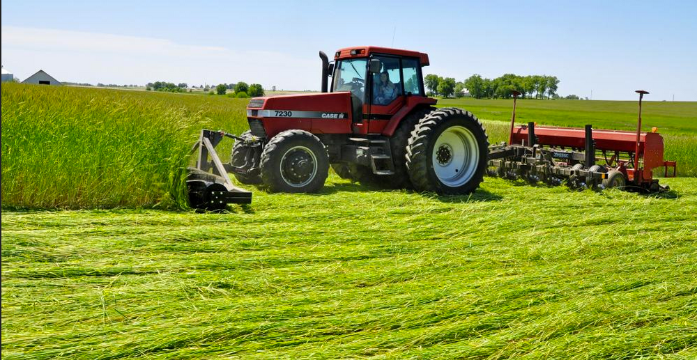 Cover crop rollers/crimpers