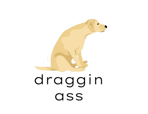 Draggin Ass | Life With Dogs 360