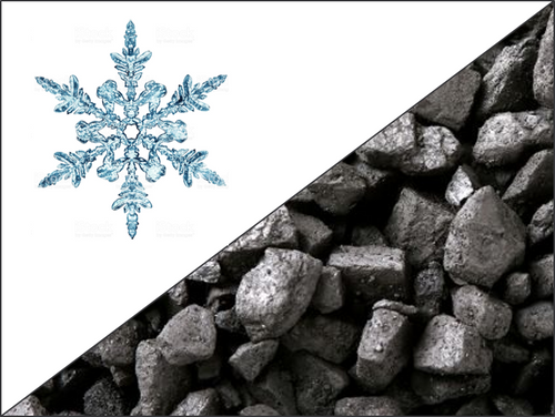 Monthly removal of 100 kg of CO2 | Thiazzi