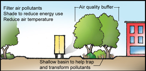 Natures Air purifiers - Trees
