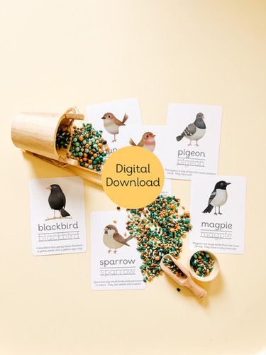 Feathered Friends Flashcards - Digital Download | Everyday Messyplay