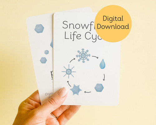 Snowflake Life Cycle Flashcards - Digital Download | Everyday Messyplay