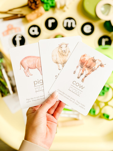 Farm Realistic Flashcards | Everyday Messyplay