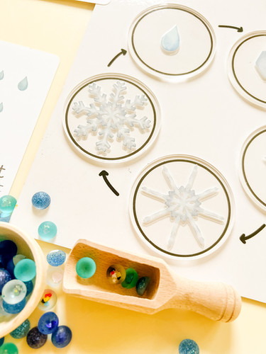 Snowflake Life Cycle Learning Discs | Everyday Messyplay