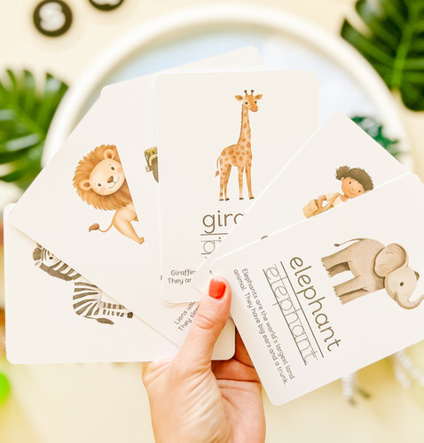On Safari - Set of 6 Flashcards | Everyday Messyplay