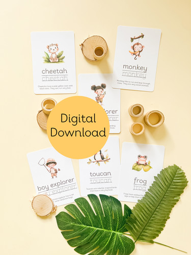 Rainforest Explorers Flashcards - Digital Download | Everyday Messyplay