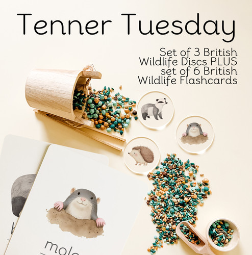 Tenner Tuesday 3 Discs and Flashcards Deal | Everyday Messyplay