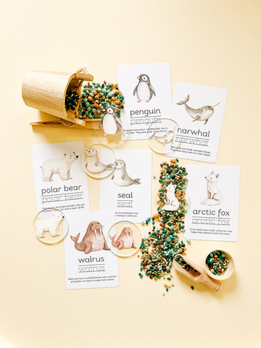 Polar Animals Flashcards | Everyday Messyplay