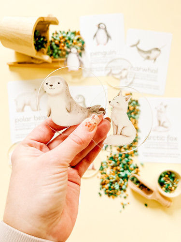 Polar Animals Learning Discs | Everyday Messyplay