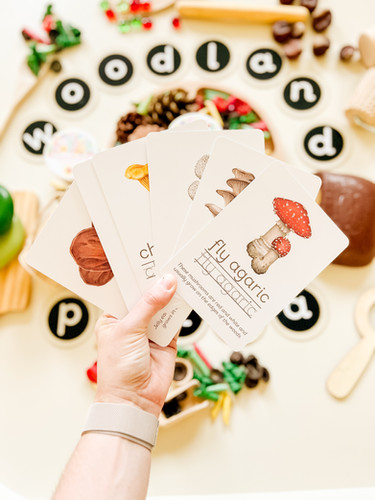 Common Fungi Flashcards | Everyday Messyplay