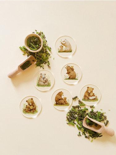 Bears Together Set of 6 Learning Discs | Everyday Messyplay