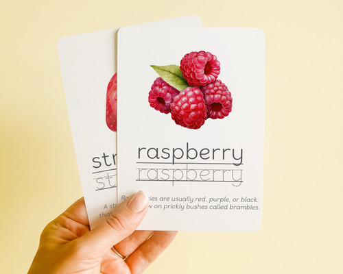 Fruit Flashcards | Everyday Messyplay