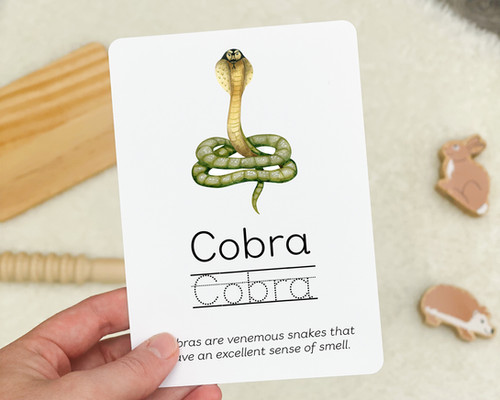 Snakes Flashcards | Everyday Messyplay