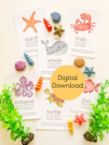 Ocean Friends Flashcards - Digital Download | Everyday Messyplay