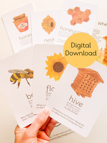 World Bee Day Flashcards - Digital Download | Everyday Messyplay
