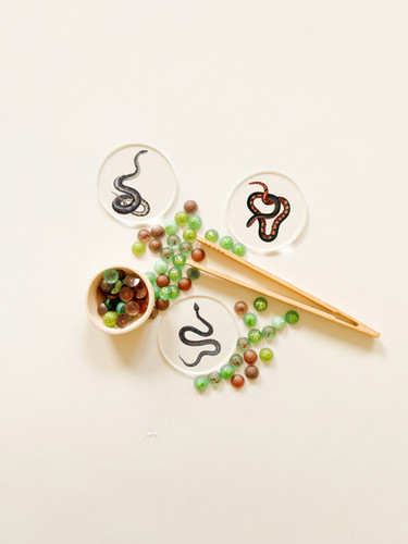 Snake Discs - Set of 3 | Everyday Messyplay