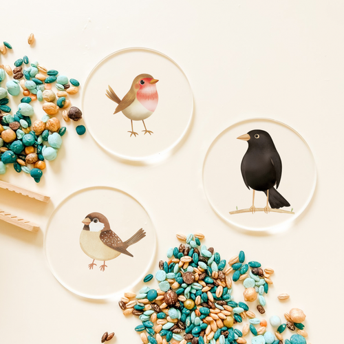 Fiver Friday - Feathered Friends Set of 3 Discs | Everyday Messyplay