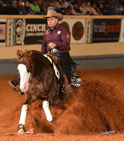 Inferno 66 | Genetically Gifted | Stallions