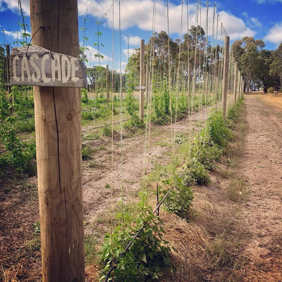 Karridale Cottages & Hop Farm Photo Gallery