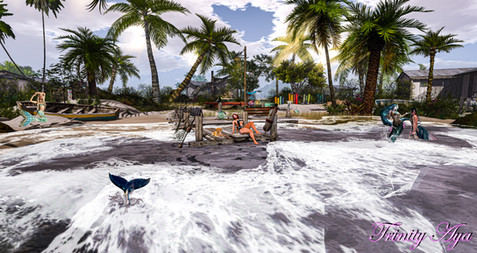 Portifolio | Trinity Virtual World