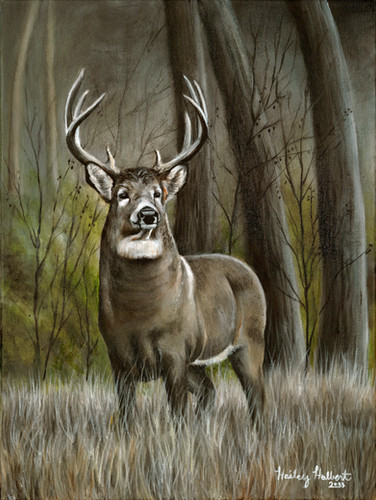 His Majesty | Hailey Holbert Art