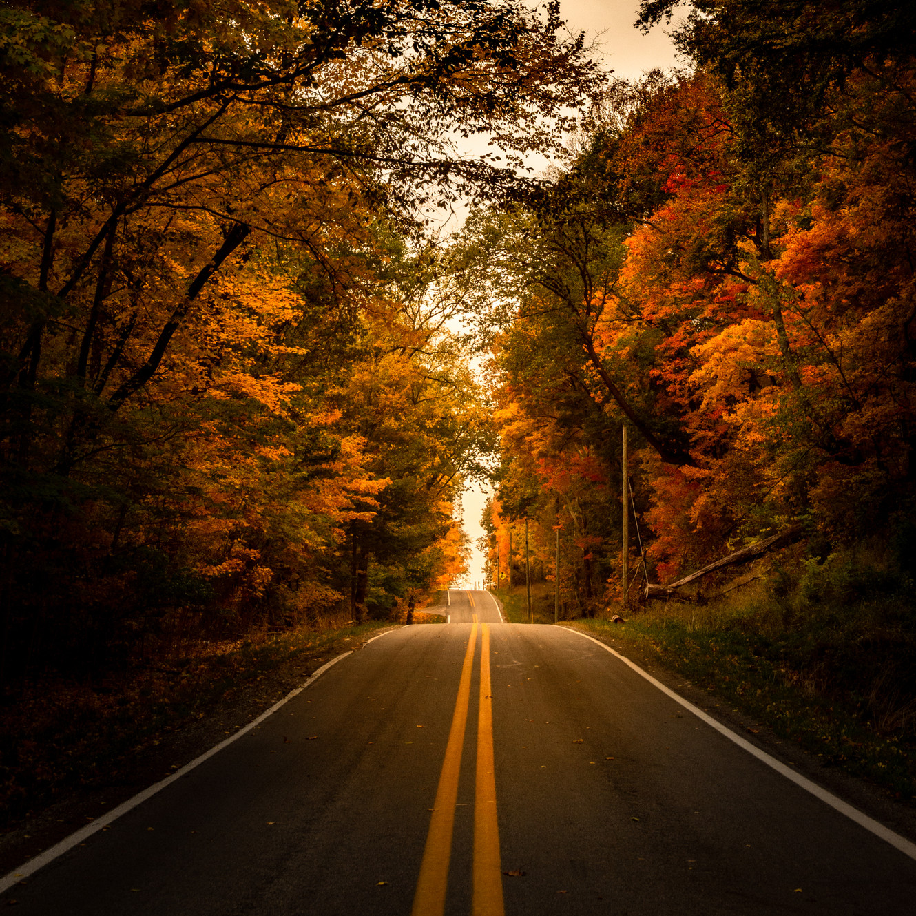 What We Were Never Taught | Realized Vision Solutions