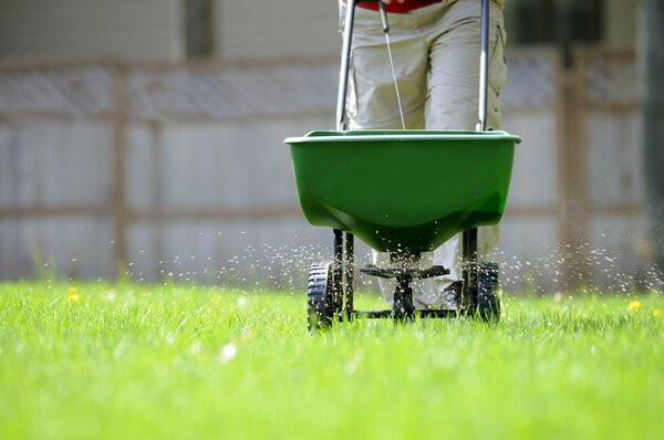 All Pro Lawn Care | For a Picture-Perfect Outdoor Space in Alabama
