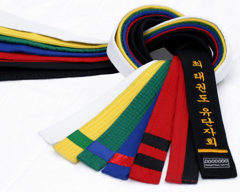 Главная | АНО "Спортивный клуб восточных боевых единоборств "Арена"