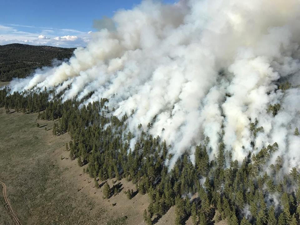 Carson Natl Forest Issues Stage 2 Fire Restrictions.