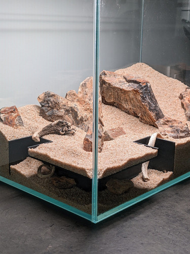 Aquarium and Terrarium Corner Underground Tunnel, 2 Sizes | Rose Meadow ...