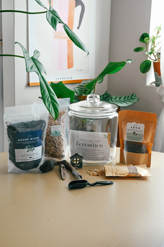 Make Your Own Terrarium Kit | Epilo