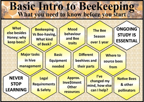 Basic Intro to Beekeeping in Victoria | CMG Honeybee