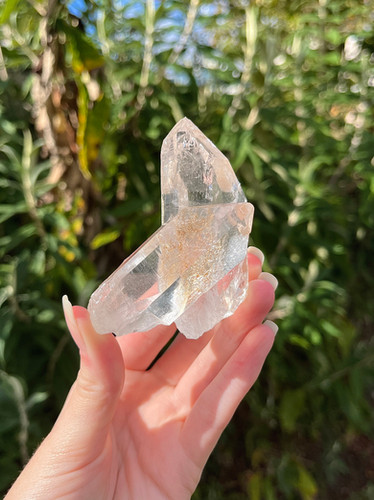 Himalayan quartz intergrown twin points | The rusty plant pot