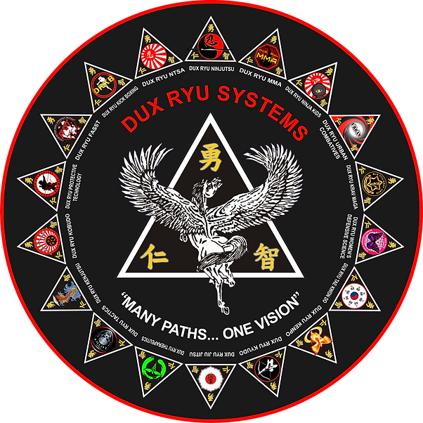 Frank Dux | Dux Ryu Systems