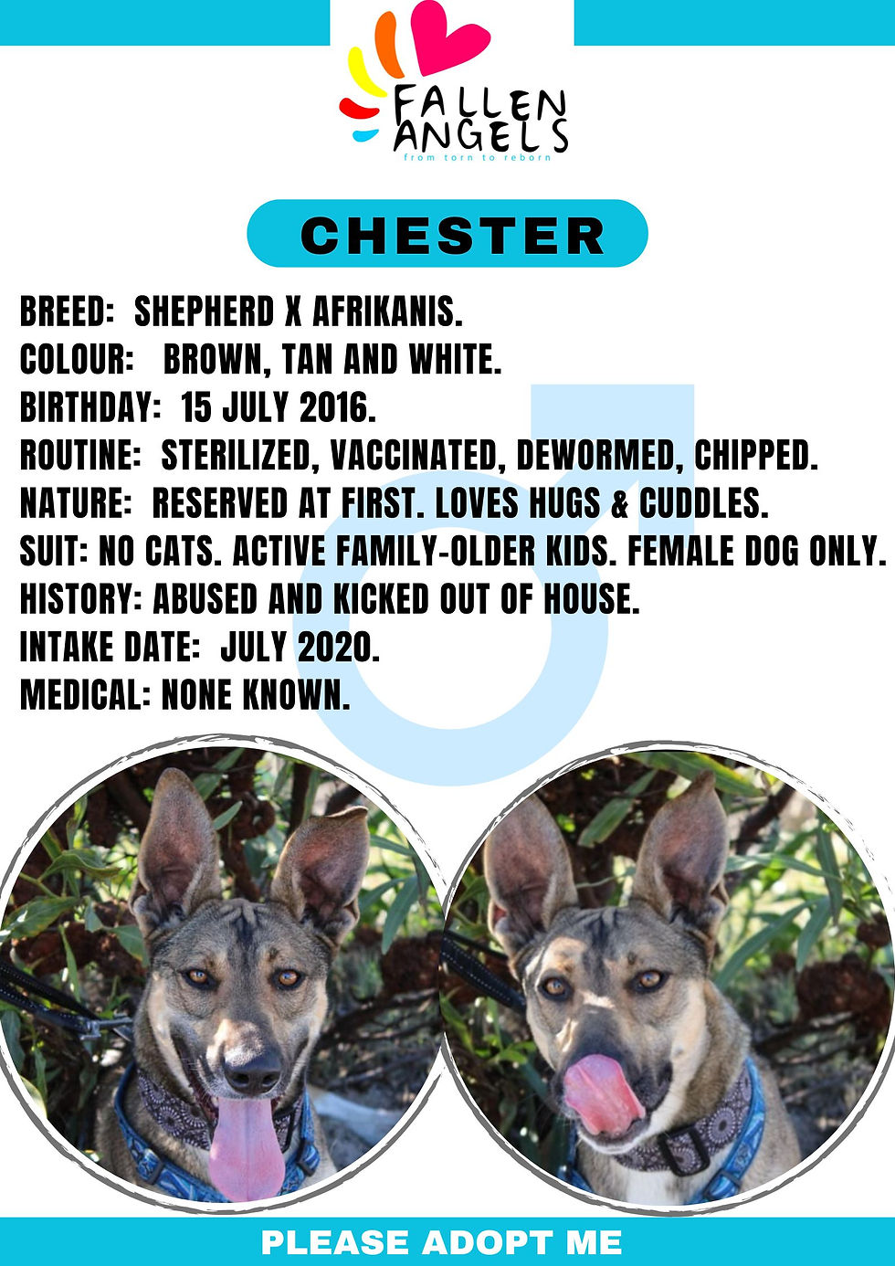 Handsome BOYS For Adoption | Fallen Angels