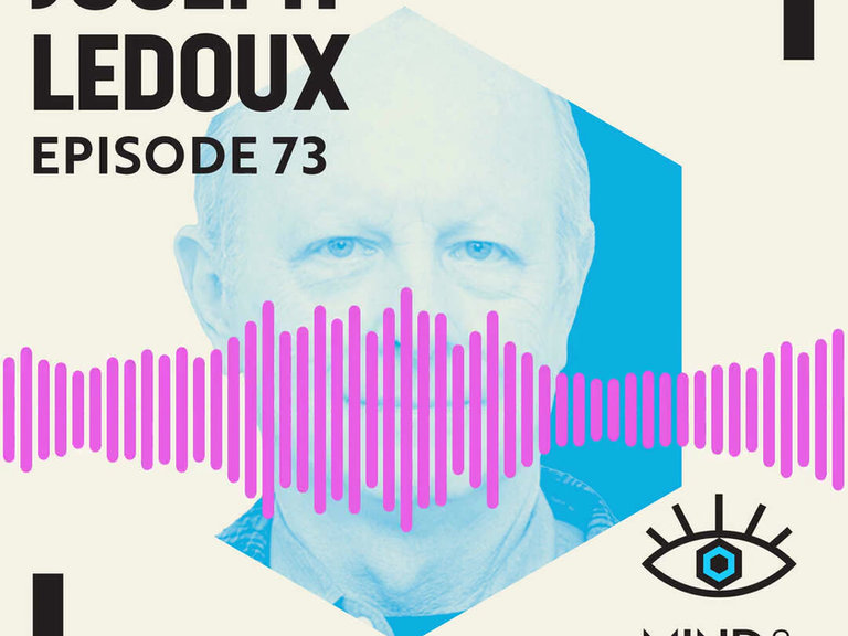 Joseph LeDoux: Emotion, Cognition, Consciousness, Behavior & Brain ...