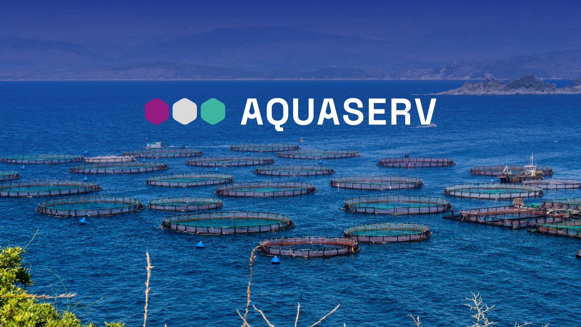 Open Call | Aquaserv