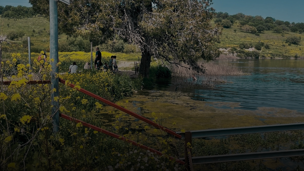 Spring Hiking in Israel