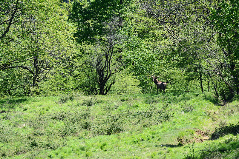 Supported project #6 : ASPAS: for the protection of natural spaces and ...