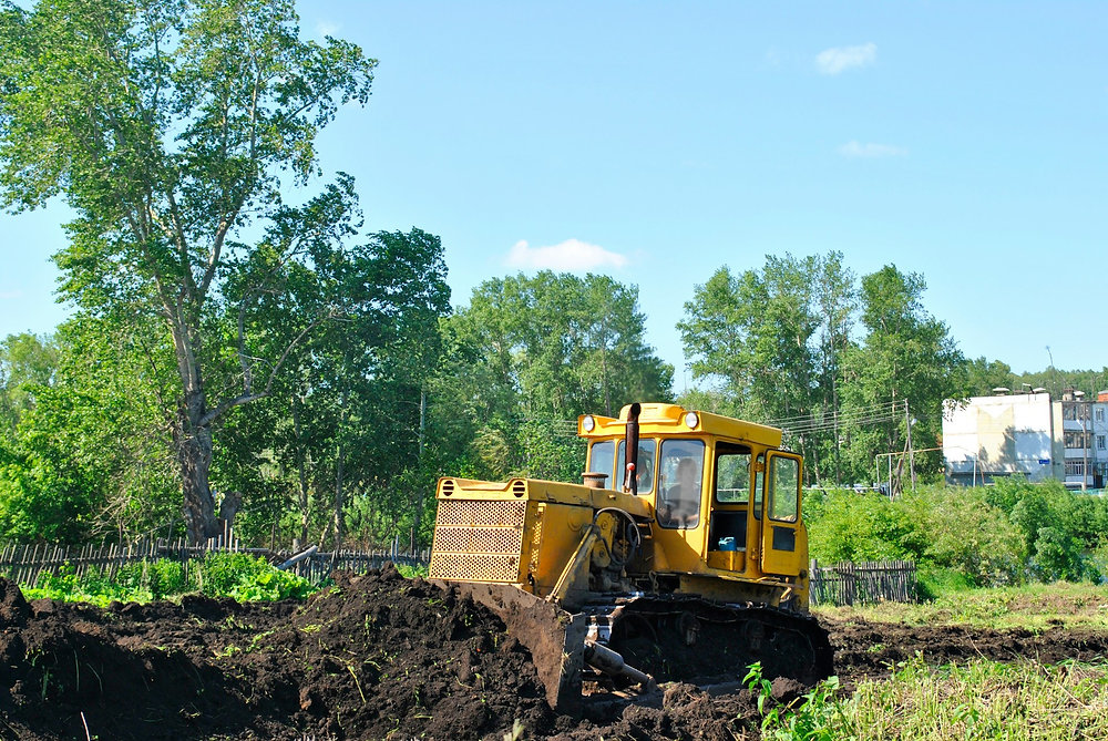 Overgrown Land? Discover How Land Clearing Services Help