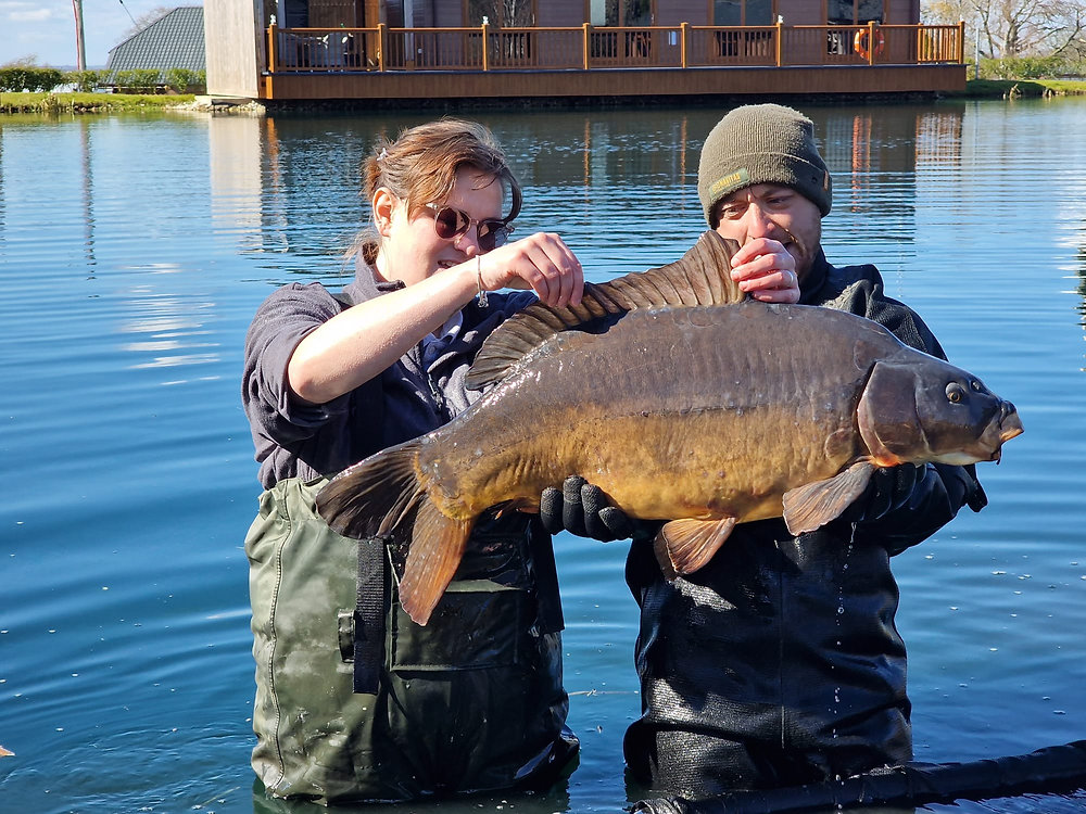 Arthurs Pool - Our Carp Lake