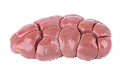 Kidney | Watkins Red Angus