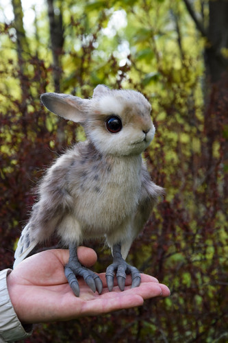 Skvader | Gakman Creatures